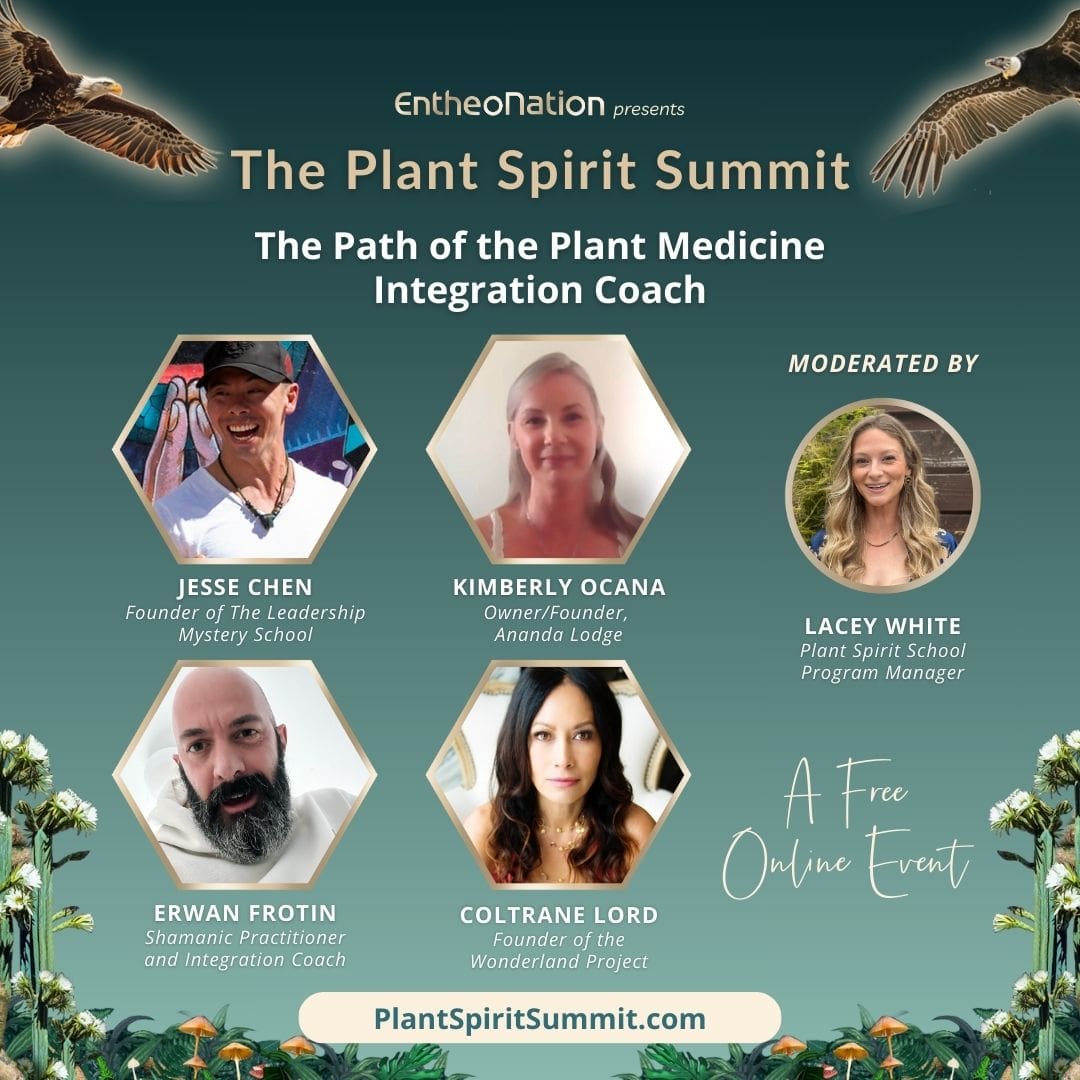 The Path of the Plant Medicine Integration Coach | Plant Spirit School