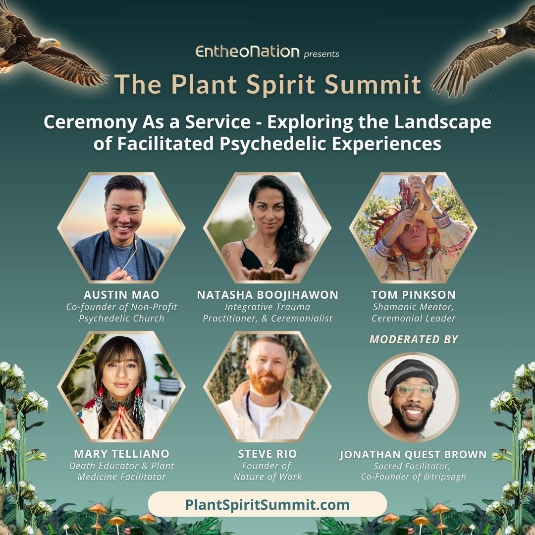 Ceremony As a Service - Exploring the Landscape of Facilitated ...