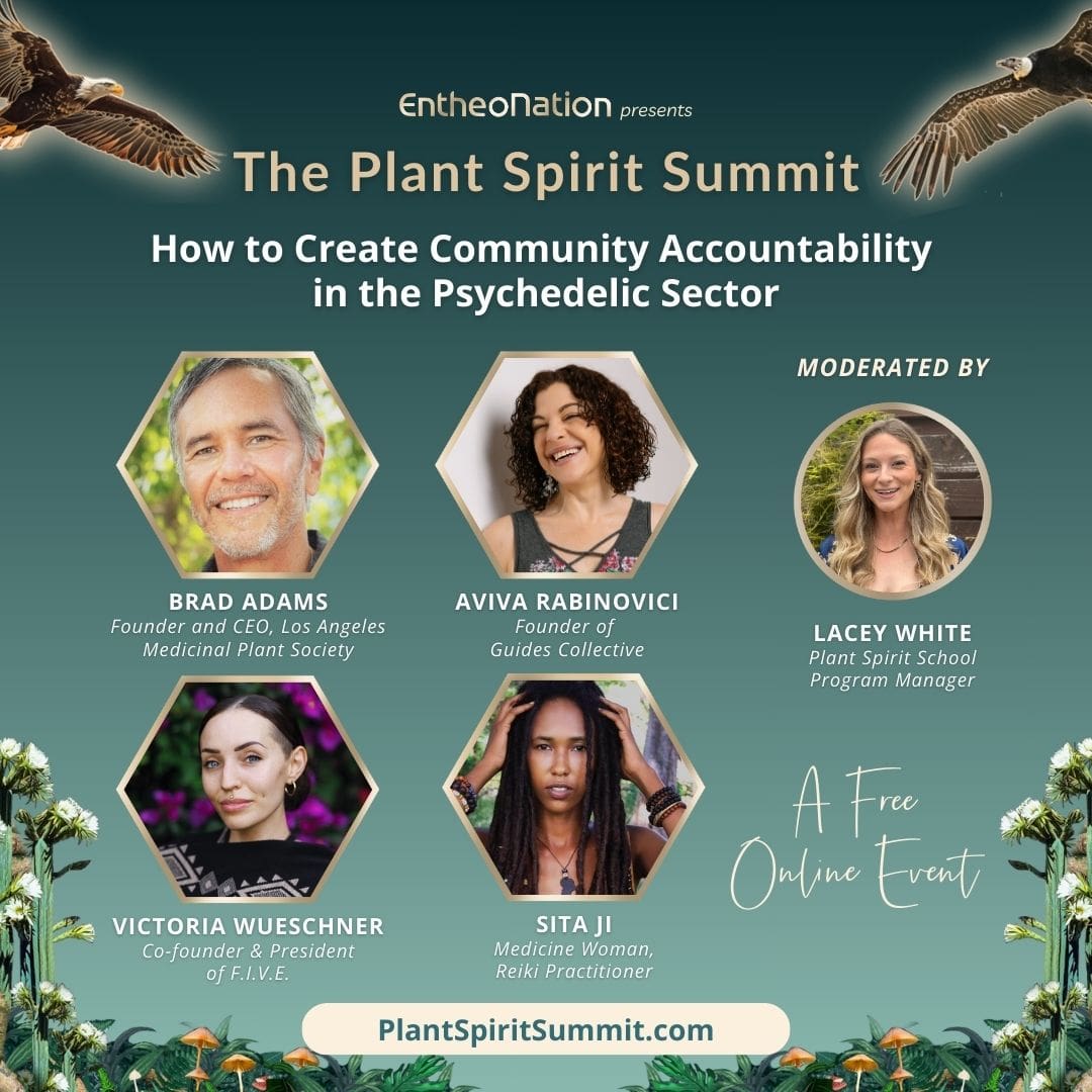 How to Create Community Accountability in the Psychedelic Sector ...