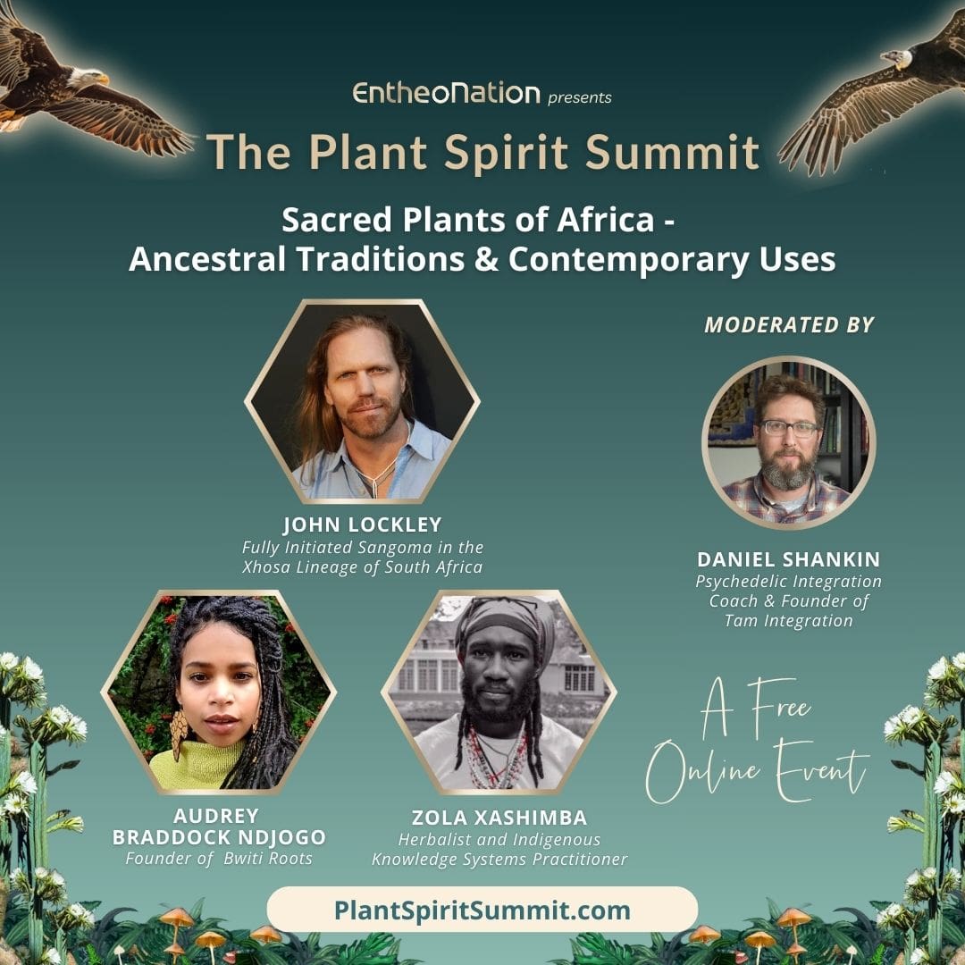 Sacred Plants of Africa - Ancestral Traditions & Contemporary Uses ...